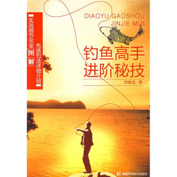 钓鱼高手进阶秘技 贺建成