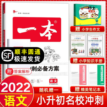 2022小升初语文 一本名校冲刺必备方案 语文 全国通用版 小学升初中六年级总复习考试真题资料练习册考点贯穿题组训练毕业真题典型例题 小升初语文