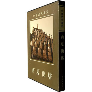 中国古代建筑:西夏佛塔【正版图书】