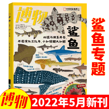 博物杂志 2022年5月 鲨鱼