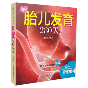 图解胎儿发育280天