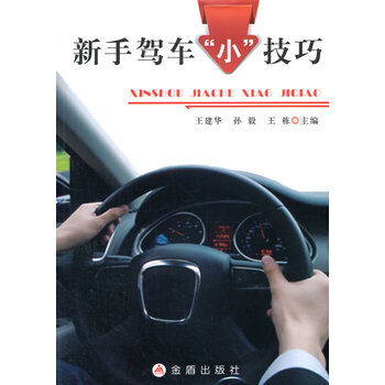 【保证正版】新手驾车“小”技巧 王建华,孙毅,王栋 金盾出版社 9787508297064