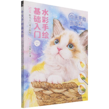 今天开始画水彩 水彩手绘基础入门 飞乐鸟