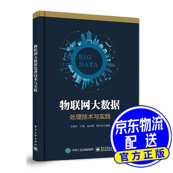 物联网大数据处理技术与实践