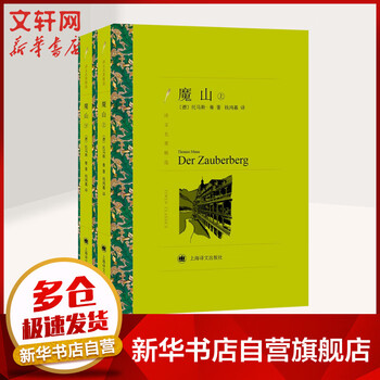魔山 德国现代小说的里程碑 译文名著精选