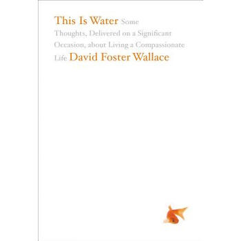 英文原版 生命中简单又困难的事 大卫·福斯特·华莱士 David Foster Wallace This Is Water: Some Thoughts, Delivered on a