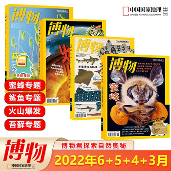 蜜蜂专题 博物杂志2022年6月总第222期蜜蜂专辑 赠手绘拉页海报 身边花草图鉴 4本装  22年2-6月