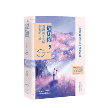 【正版书籍】遇见你 我原谅了生活所有的刁难