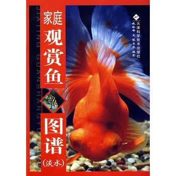 家庭观赏鱼图谱【正版图书】