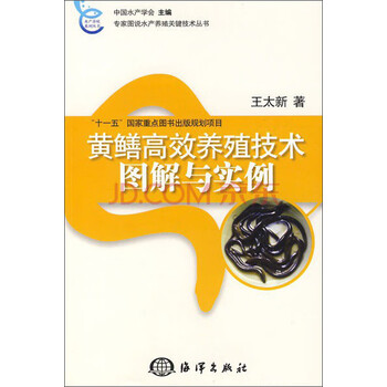 黄鳝高效养殖技