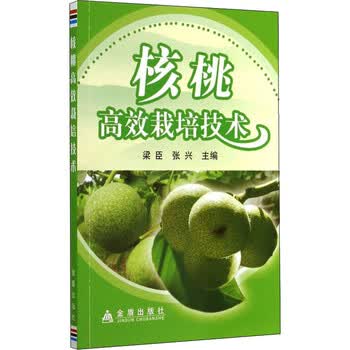 核桃高效栽培技术 梁臣,张兴 编 书籍