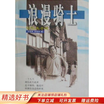 浪漫骑士：记忆王小波