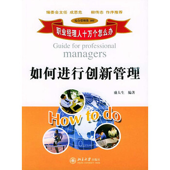 如何进行创新管理 盛大生著 北京大学出版社