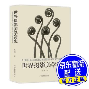 世界摄影美学简史