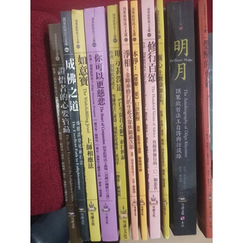 如意宝+你可以更慈悲+修行百颂+净相+本净等顶果钦哲法王全套11本