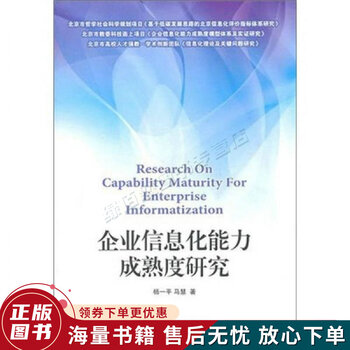 企业信息化能力成熟度研究