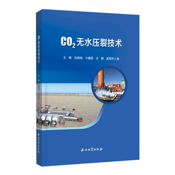 CO2无水压裂技术 9787518342518 石油工业出版社