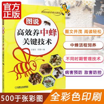 图说高效养中蜂关键技术 中蜂高效养殖技术大全 土蜜蜂养殖技术书籍 实用养蜂技术 养中华蜂书籍 养蜂书