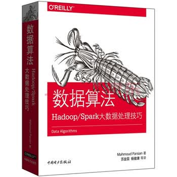数据密集型应用设计 Hadoop/Spark大数据算法