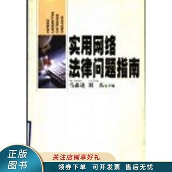 实用网络法律问题指南 马森述
