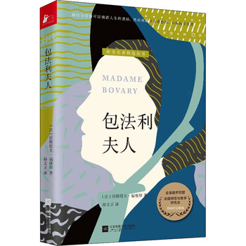 包法利夫人 图书