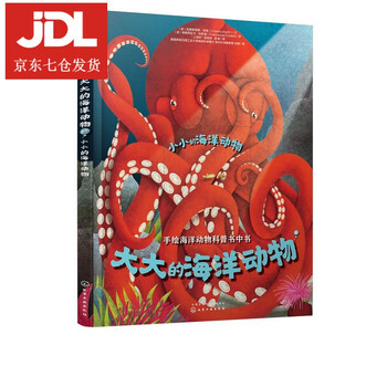 大大的海洋动物和小小的海洋动物