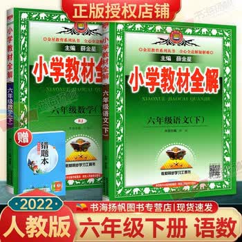 可选】小学教材全解六年级教材解读 下册 语数2本【人教版 薛金星课本同步辅导资料书部编版