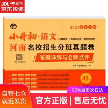 【正版图书】小升初·语文  文心出版社