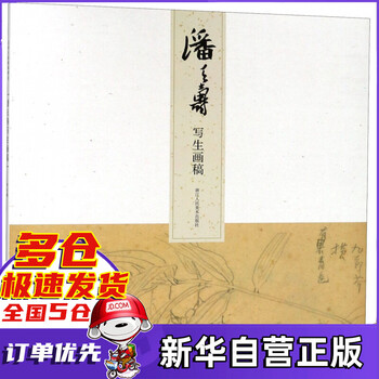 潘天寿写生画稿