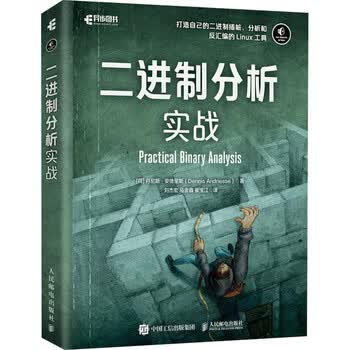二进制分析实战 图书