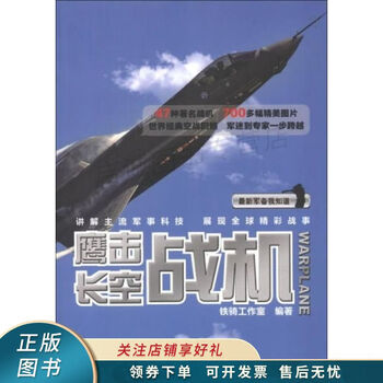 鹰击长空-战机