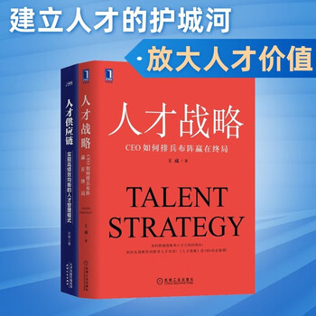 人才管理两本套装：人才战略+人才供应链 识干家企业管理C 人才管理两本套装