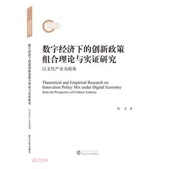 正版 数字经济下的创新政策组合理论与实证研究:以文化产业为视角:from the perspecti