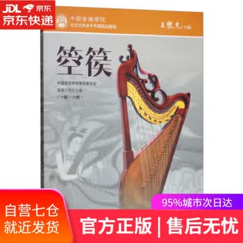 【正版图书】箜篌 王黎光 中国青年出版社