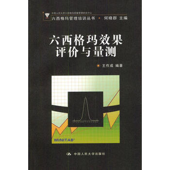 六西格玛效果评价与量测 王任职 成 编著
