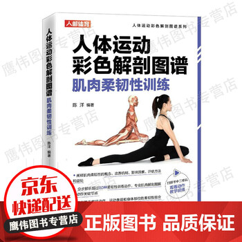 人体运动彩色解剖图谱 肌肉柔韧性训练