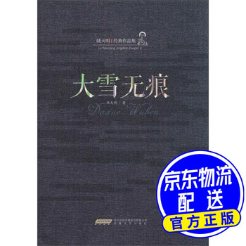 陆天明经典作品集：大雪无痕