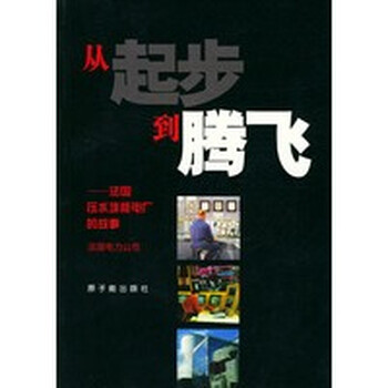 从起步到腾飞 电力公司 唐泓  译