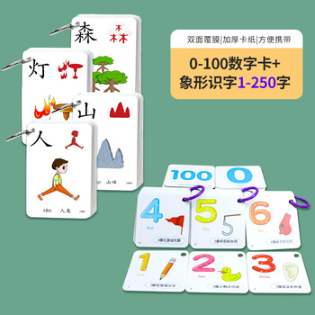 幼儿识字卡全套3000字儿童早教启蒙幼儿园宝宝认生字神器汉字卡片 象形字1-250字+数字卡片