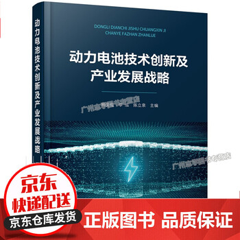 动力电池技术创新及产业发展战略 正版 红色