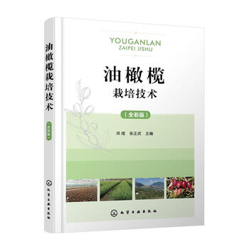油橄榄栽培技术(全彩版)农业/林业油橄榄栽培技术普通大众图书