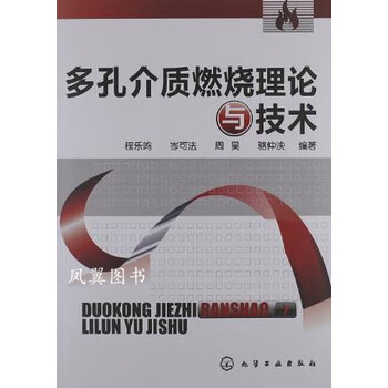 多孔介质燃烧理论与技术 程乐鸣，岑可法，周昊，骆仲泱著 化学工业出版社