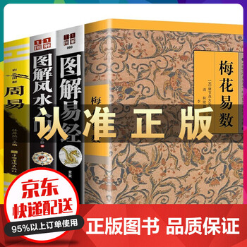 全4册梅花易数+图解易经+图解风水入门+图解周易 风水入门全书图文详解大全 易经的智慧风水学入门书籍 梅花易数正版4册