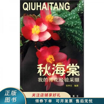 我的养花经验采撷：秋海棠