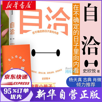 自洽  在不确定的日子里向内看  史欣悦著