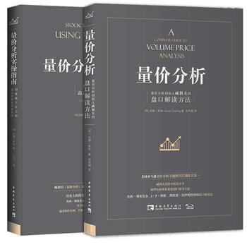 量价分析实操指南+量价分析 图书
