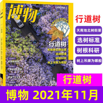 博物杂志2020年 2021年 2022年（在下方已选中可选择期数）青少年自然人文百科期刊科普书 博物君式科普百科书 中国国家地理杂志博物 2021年11月第11期 行道树