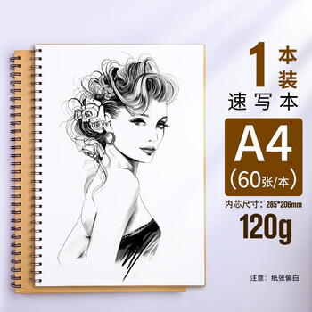 2本素描本A4美术生手绘专用素描纸16K小学生用空白图画本儿童幼儿园8k涂鸦本加厚成年初学者动漫彩铅纸画本 A4-120克（1本/无赠品）