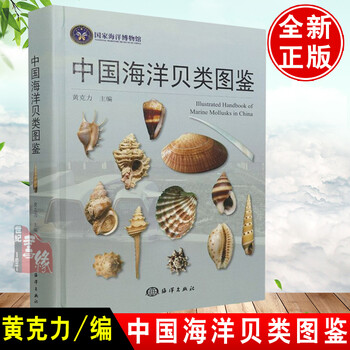 正版书籍 中国海洋贝类图鉴黄克力我国海洋贝类的物种构成贝壳主要分类中国贝类分布贝类的种类名称地理分布尺寸大小贝类分类工具
