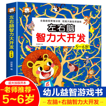 5-6岁儿童左右脑智力大开发 全脑思维逻辑训练5到六岁大班幼儿园早教培养孩子专注力训练书五岁宝宝